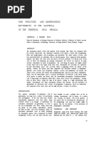 Practical Task 2 Starfish Development | PDF | Zoology | Morphology ...