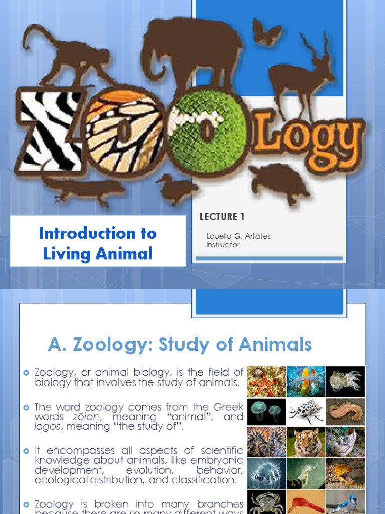 Introduction to Zoology and Animal Study | PDF | Zoology | Cell (Biology)
