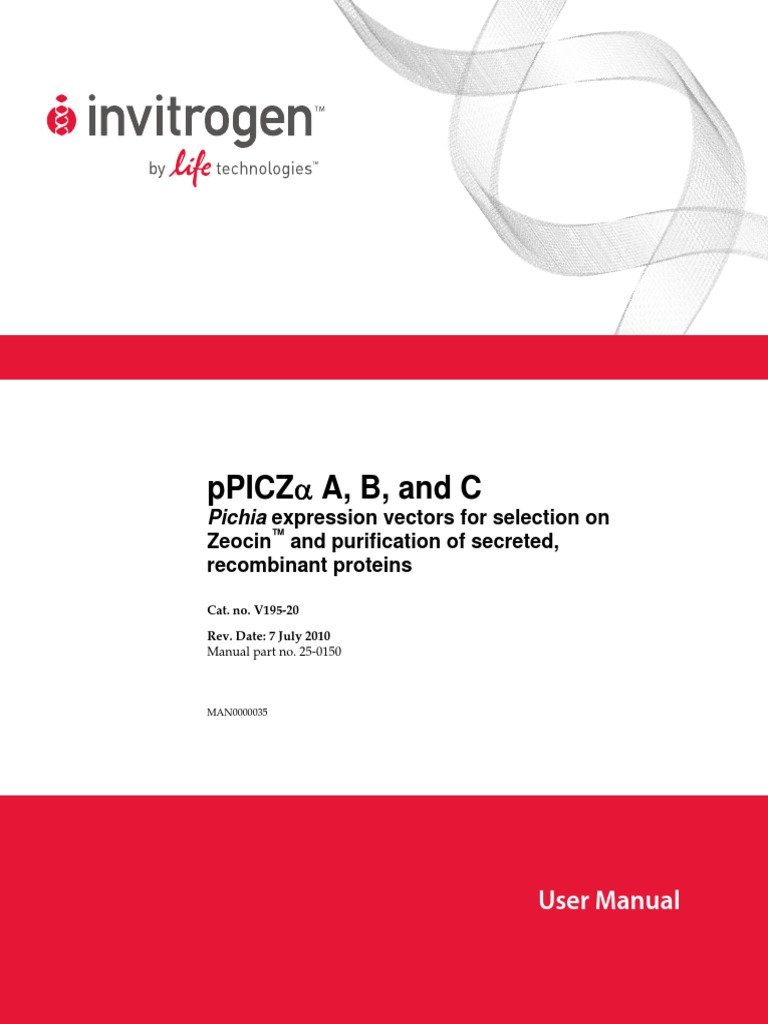 Ppicz: A, B, and C | PDF | Molecular Cloning | Transformation (Genetics)