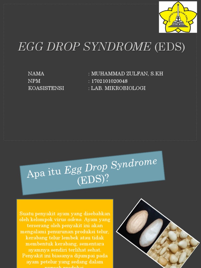 Egg Drop Syndrome | PDF