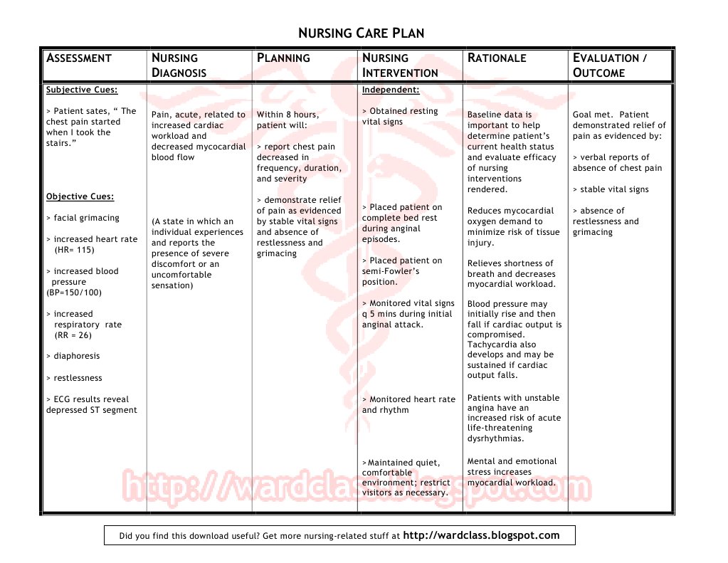 SAMPLE NCP For Angina Pectoris | PDF | Cardiovascular Diseases | Internal Medicine
