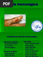 Chughtai Lab Report | PDF | Epidemiology | Animal Viral Diseases