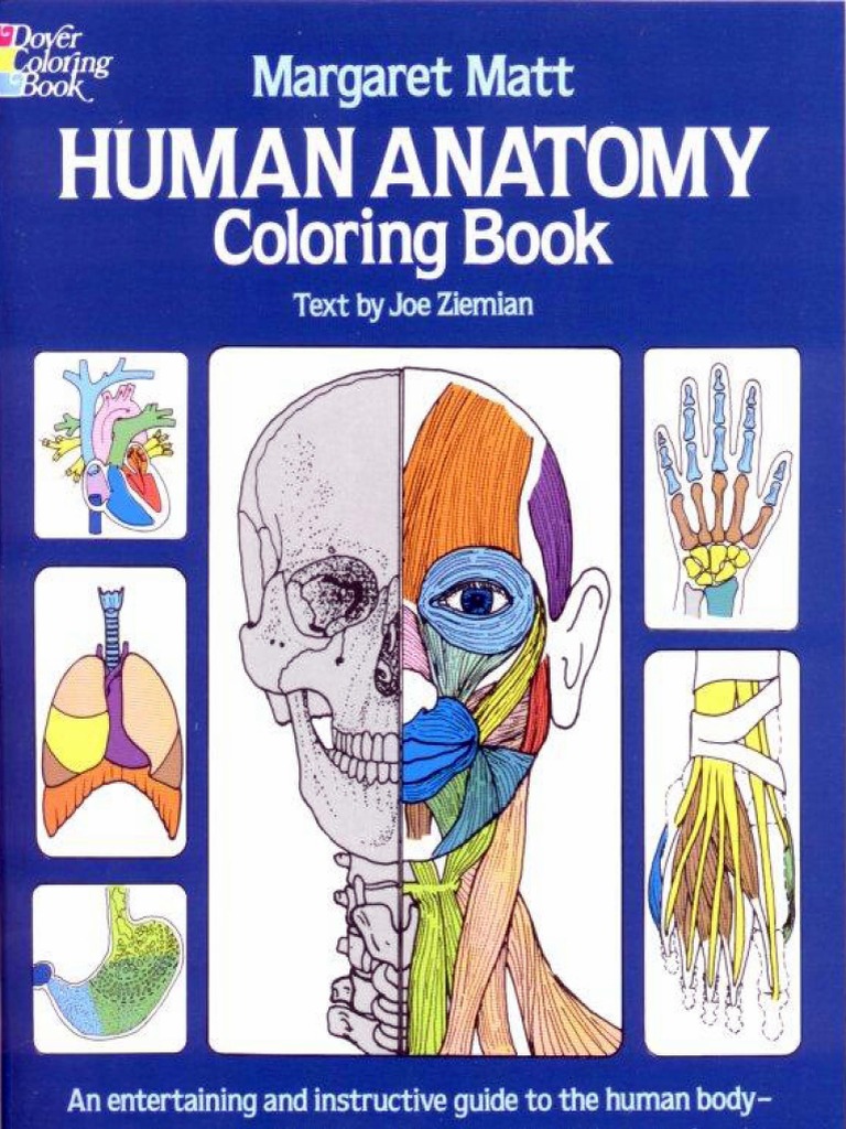 Human Anatomy Coloring Book Pdf Pdf