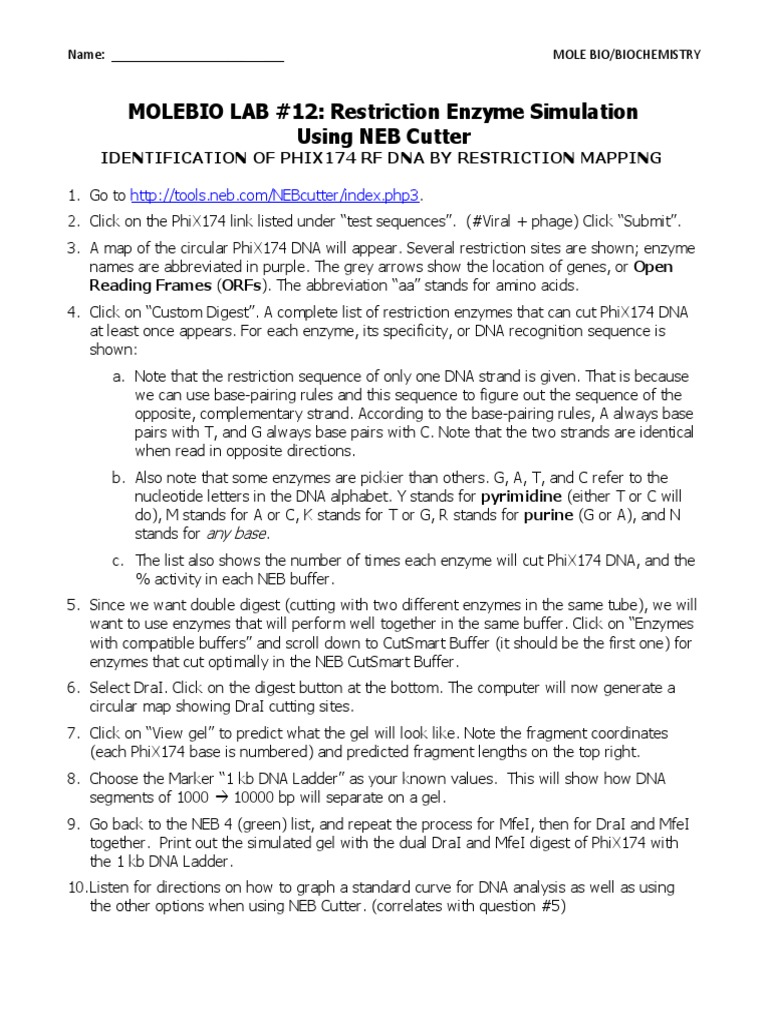 Molecular Lab 12 Using Neb Cutter 2013 | PDF | Dna | Restriction Enzyme