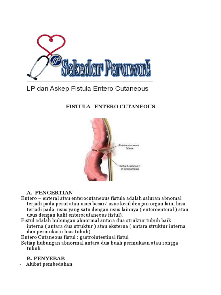 Penanganan Fistula Enterokutan | PDF | Sains & Matematika