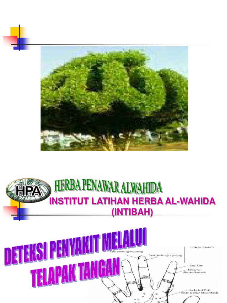 Deteksi Penyakit Melalui Telapak Tangan | PDF