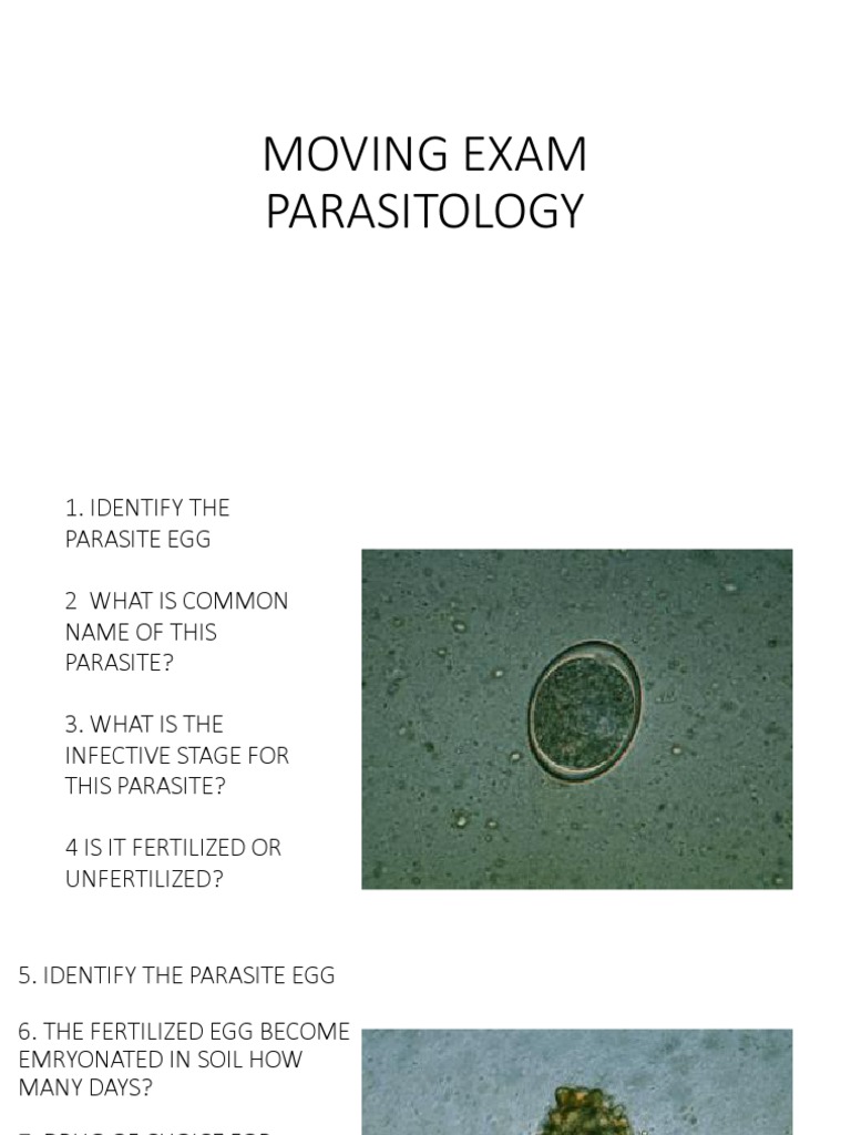 Parasitology Moving Exam Guide | PDF | Science & Mathematics