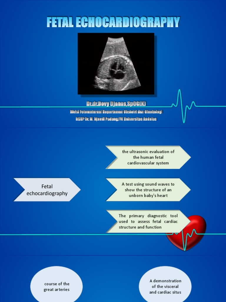 FETAL ECHOCARDIOGRAPHY PPT DD Fix2 | PDF | Aorta | Ventricle (Heart)