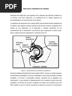Prueba Del Signo de Patrick o FABER | PDF | Ciencia y matemáticas