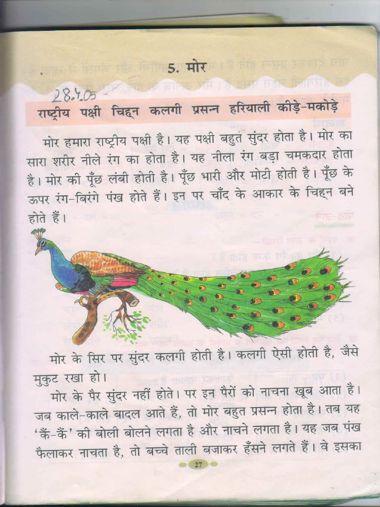 Peacock Class 2 PDF | PDF