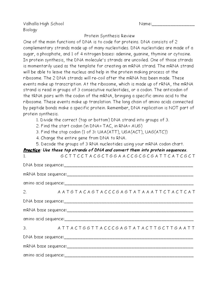 Protein Synthesis Review Guide | PDF