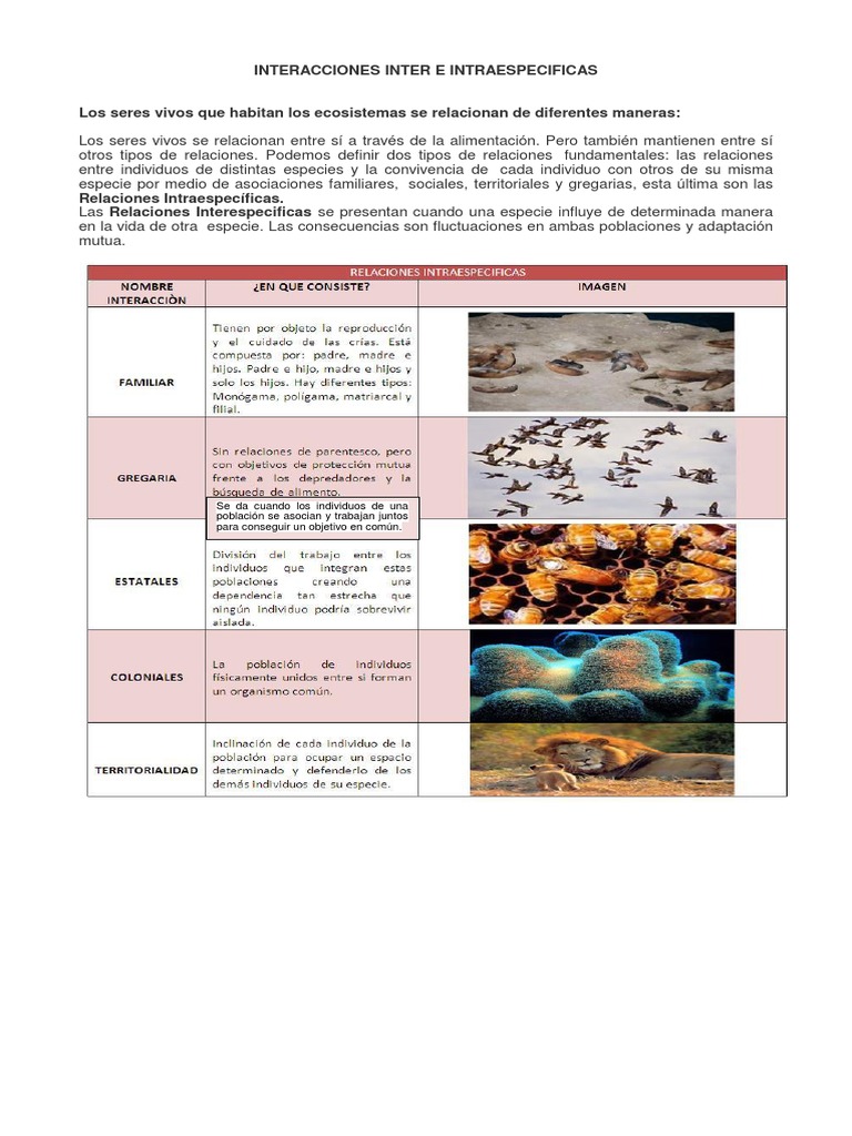 Interacciones en Ecosistemas: Tipos y Ejemplos | PDF | Organismos ...