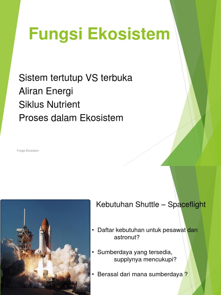 Fungsi Ekosistem 16 | PDF