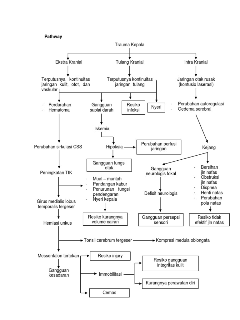 Pathway Kelompok CKS | PDF