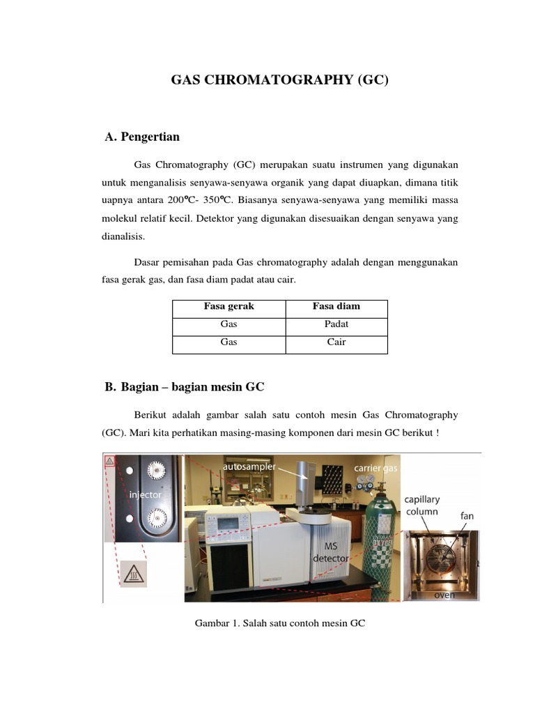 Gas Chromatography | PDF