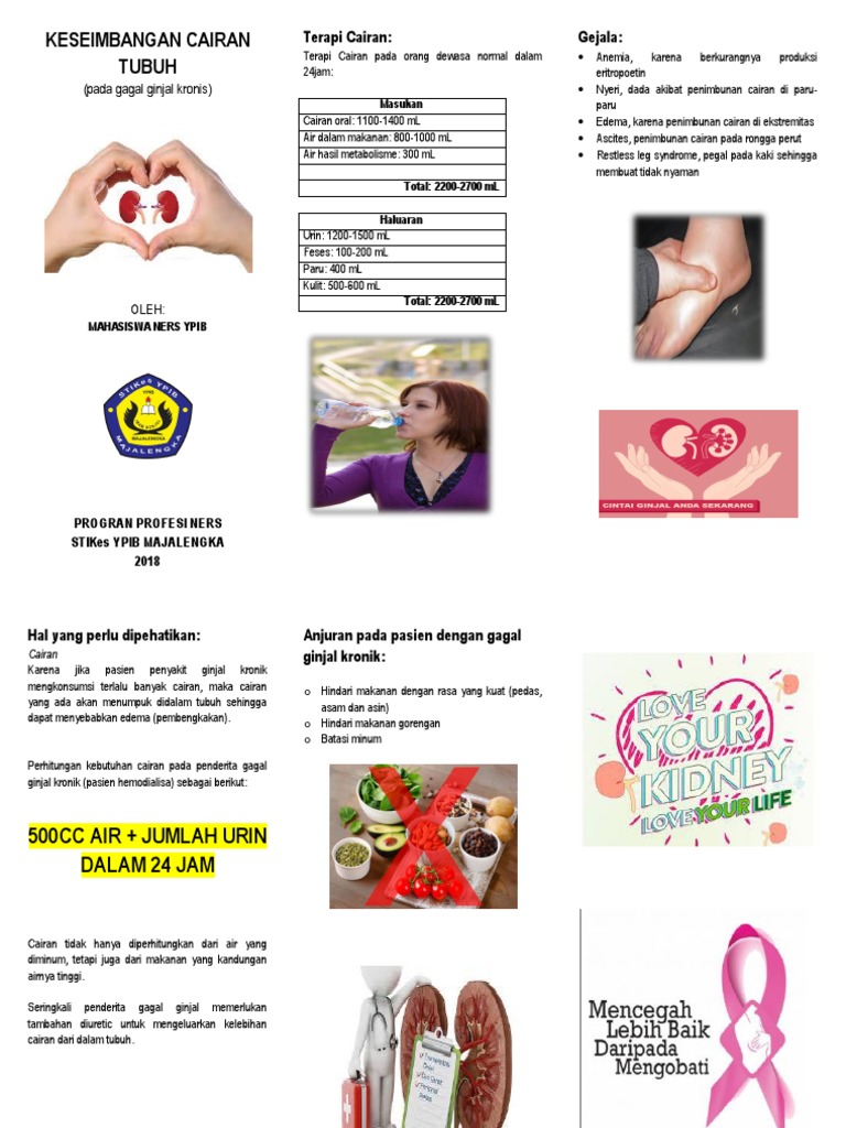 Leaflet Keseimbangan Cairan | PDF