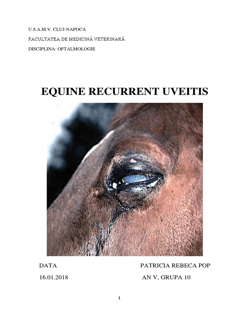 Equine Recurrent Uveitis: U.S.A.M.V. Cluj-Napoca Facultatea de Medicină ...