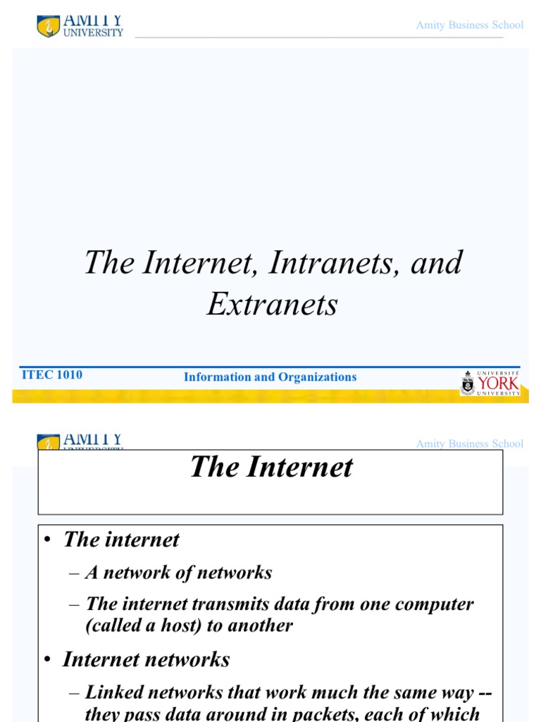 The Internet, Intranets, and Extranets | PDF | Virtual Private Network ...
