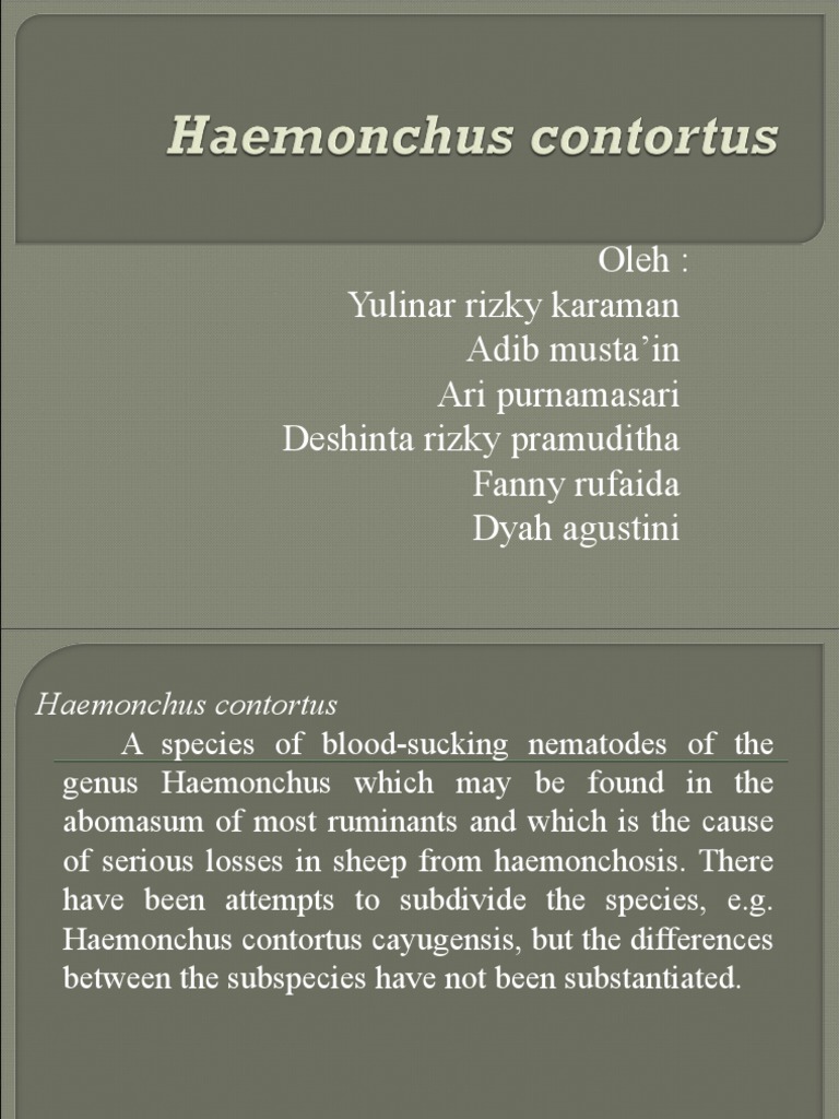 Haemonchus Contortus | PDF | Medical Specialties | Microbiology
