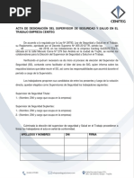 Constancia de Entrega Risst | PDF