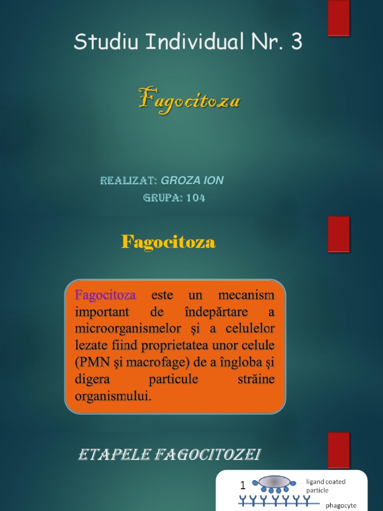 Fagocitoza | PDF