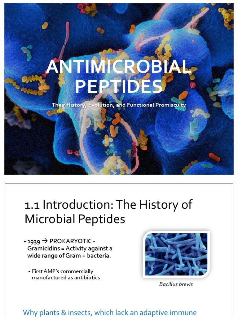 Antimicrobial Peptides: Their History, Evolution, and Functional ...
