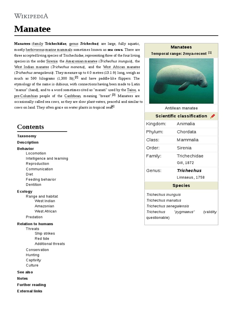 Amazonian Manatee Taxonomy