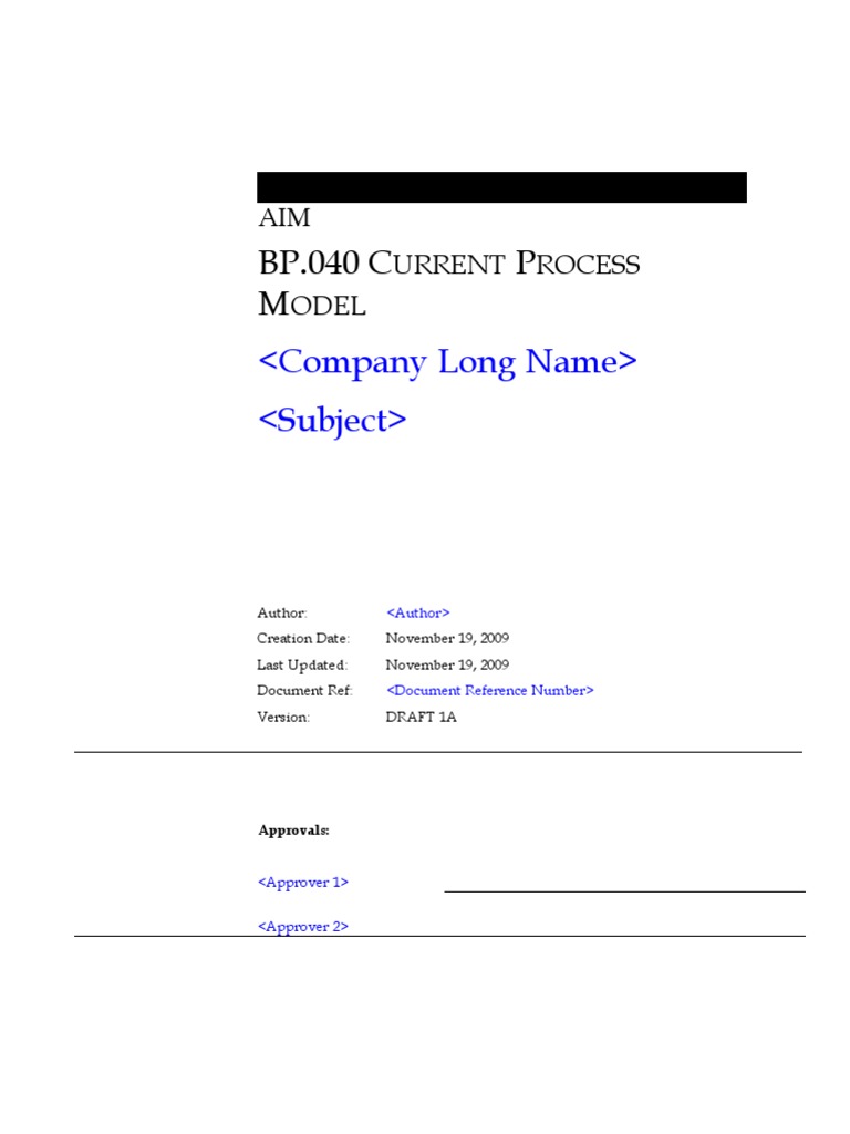 BP040 Current Process Model | PDF