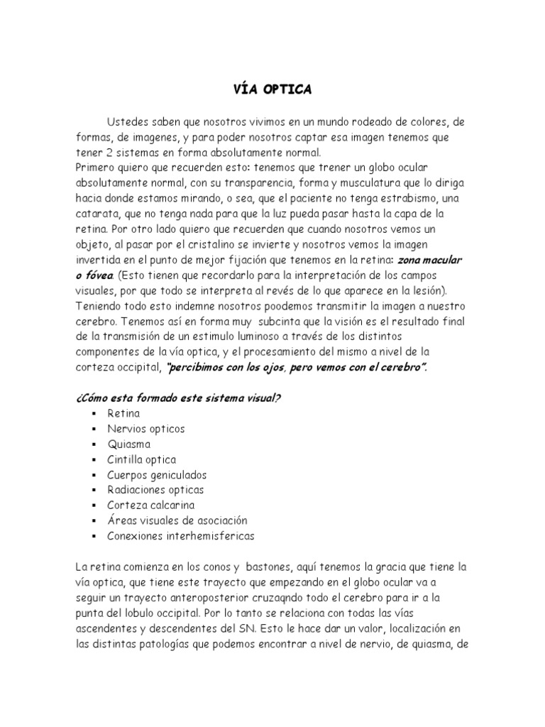 La Vía Óptica | PDF | Percepción visual | Lóbulo occipital