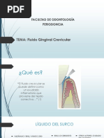 Proceso Alveolar | PDF | Hueso | Anatomía
