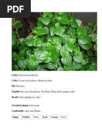 Ewe Fa | PDF | Plants | Botany