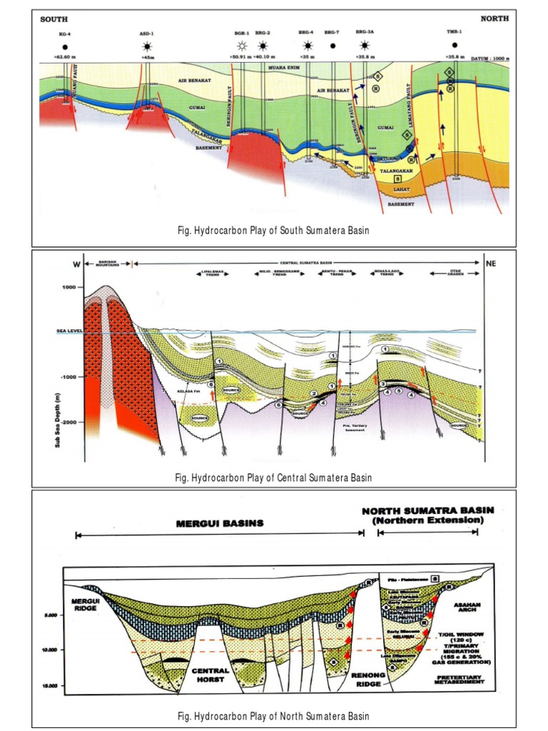 Hydrocarbon Plays in Sumatera Basins | PDF | Art