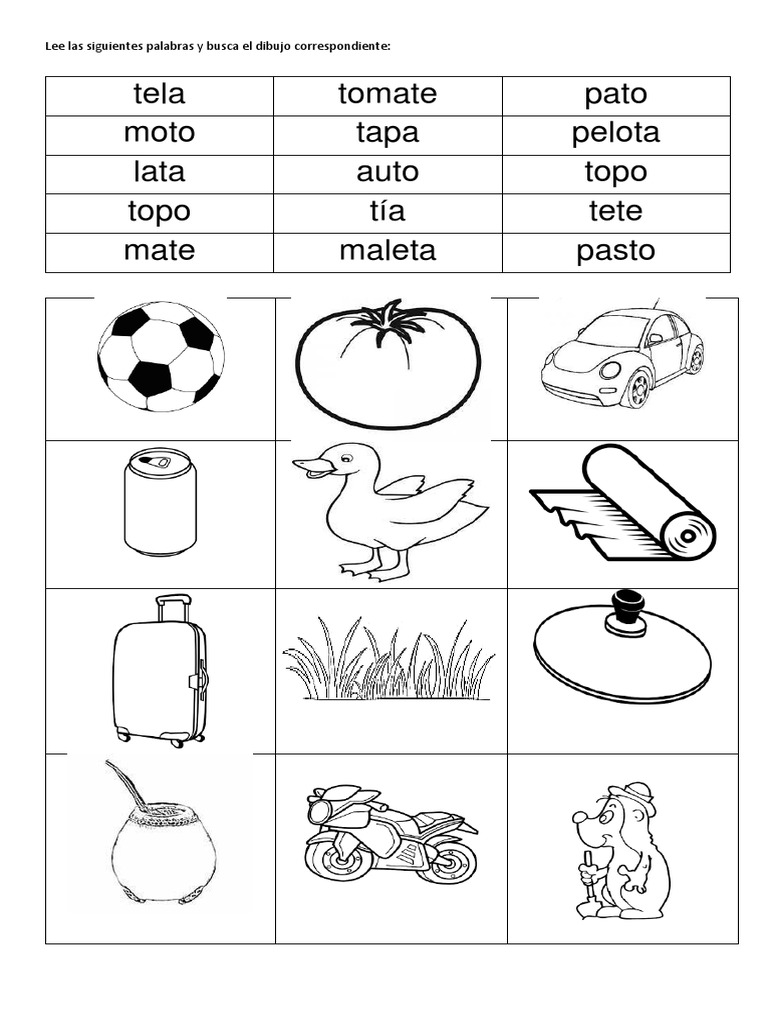 Palabras Con T | PDF