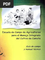 Cultivo de Caraotas: Guía Completa | PDF | Phaseolus Vulgaris | Plantas