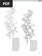 Fundamentals of Drawing PDF | PDF | Art