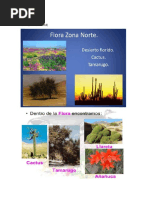 Instrumentos Musicales Isla de Pascua | PDF | Instrumentos musicales ...