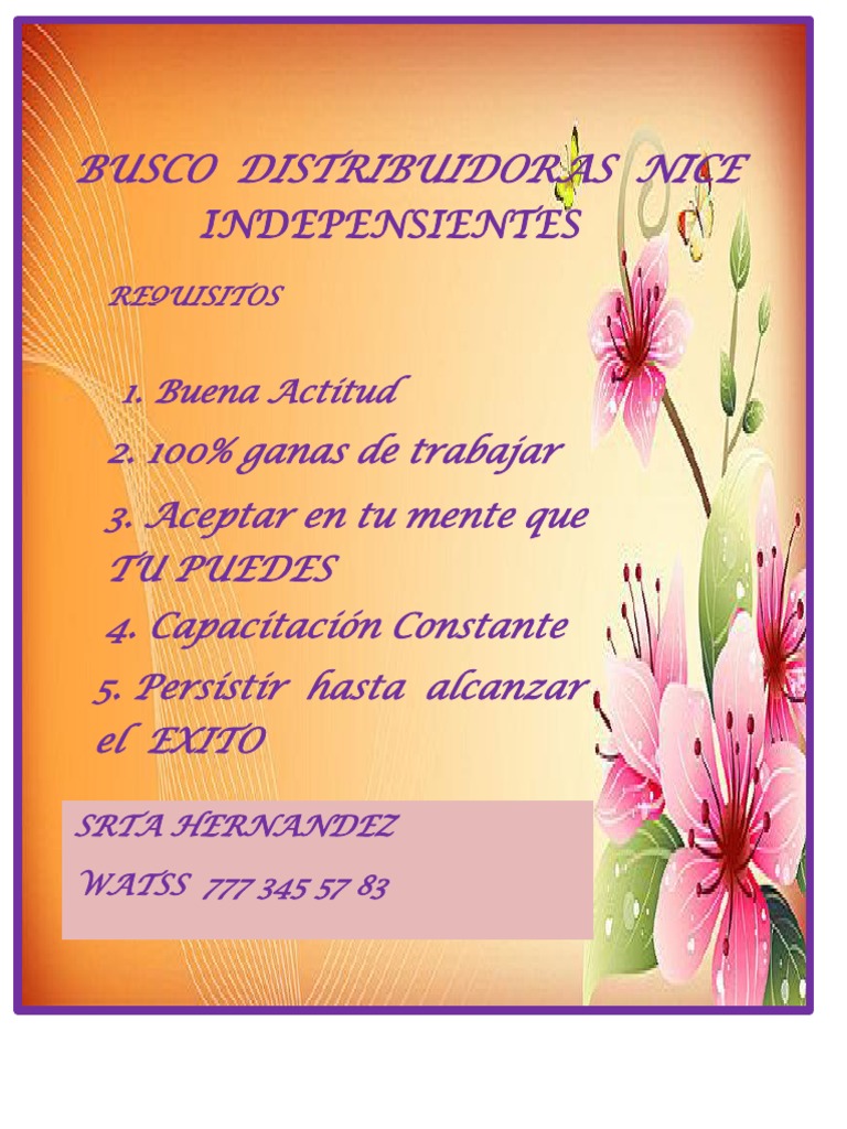 Andy Nice | PDF