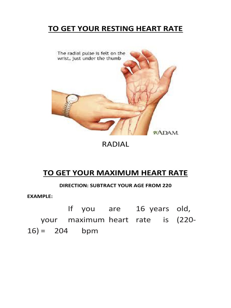 To Get Your Resting Heart Rate | PDF