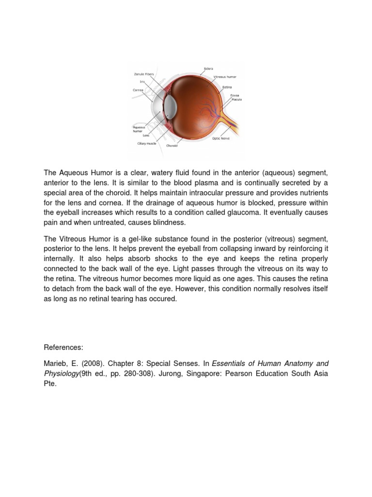 Aqueous Humor and Vitreous Humor | Download Free PDF | Human Eye | Vision