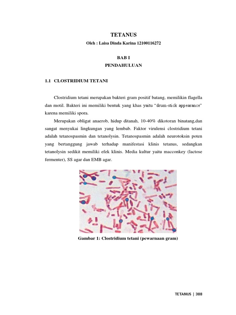 TETANUS: PENYAKIT INFEKSI OLEH CLOSTRIDIUM TETANI | PDF