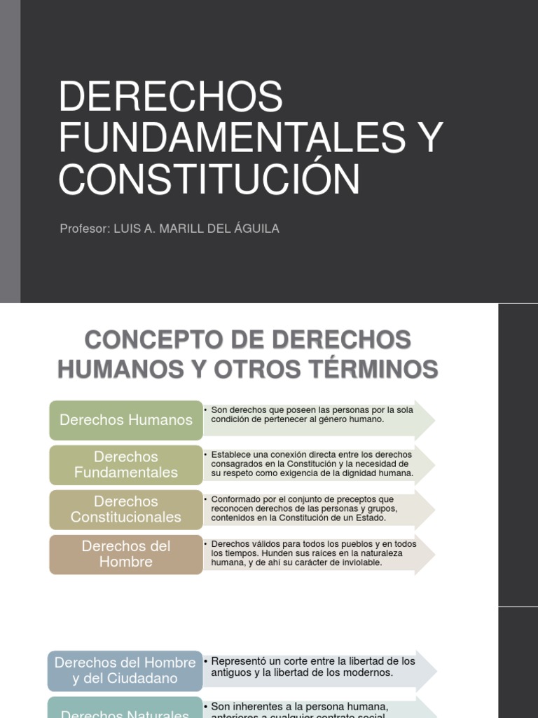 Derechos Fundamentales Y Constitución Pdf Pdf Derechos Libertad