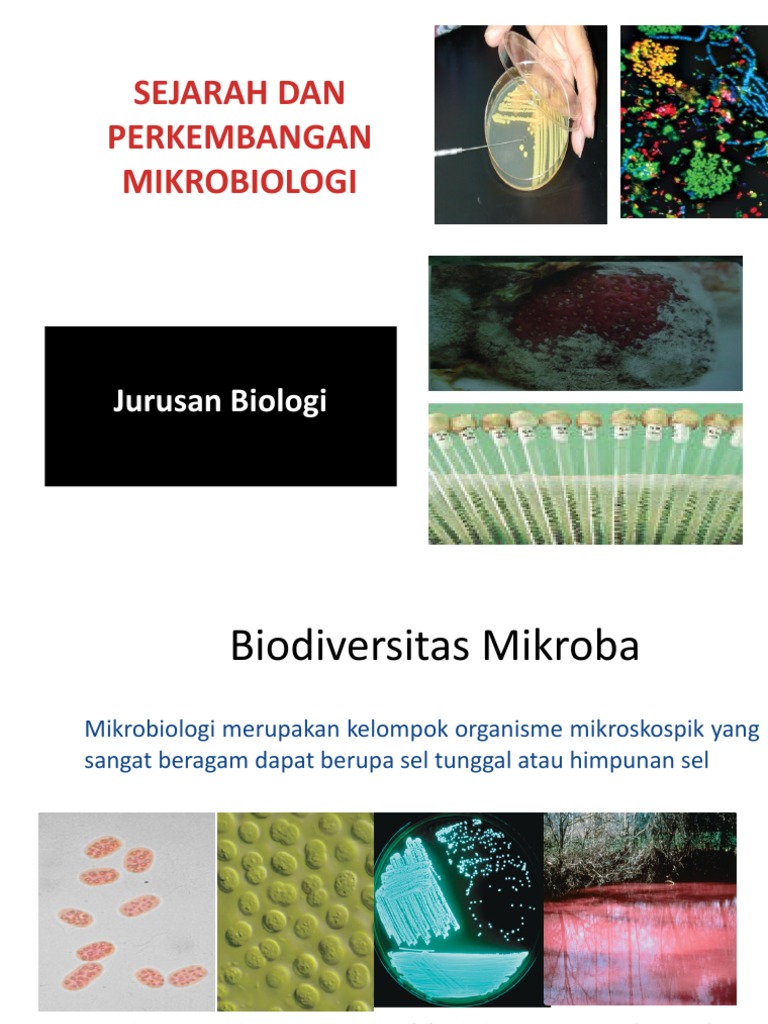 Mikrobiologi Dasar | PDF