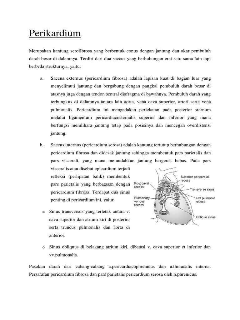 Perikardium | PDF | Sains & Matematika