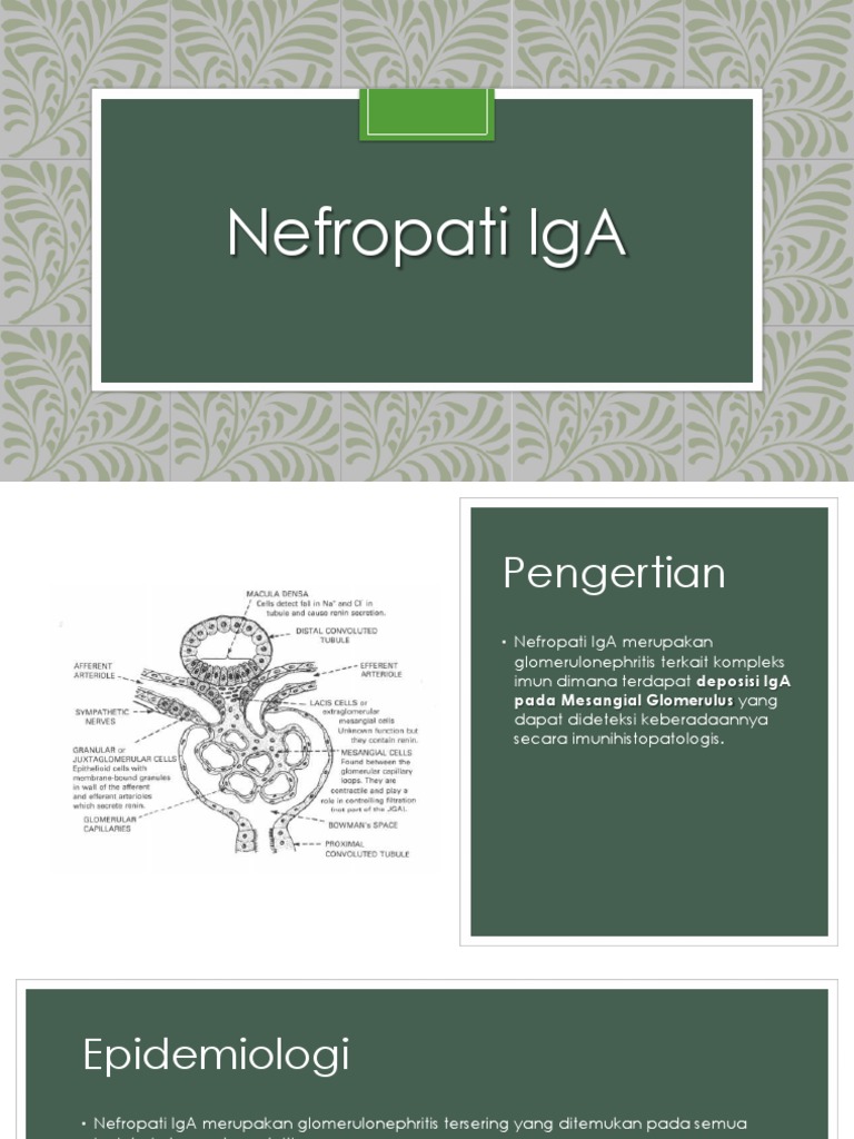 Nefropati IgA | PDF