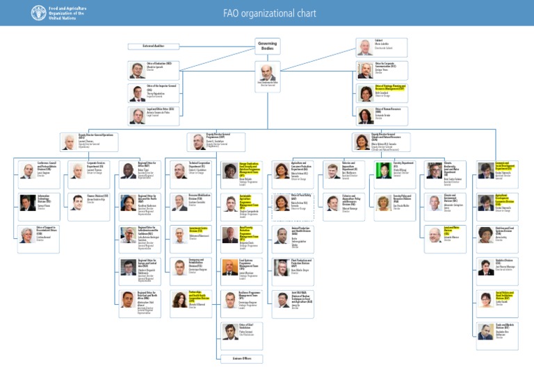FAO Food and Agriculture Organisation - Organigram | PDF | Food And ...