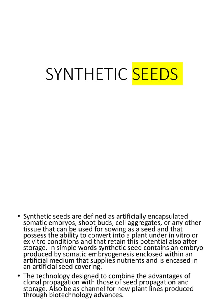 Synthetic Seeds | PDF | Seed | Embryo