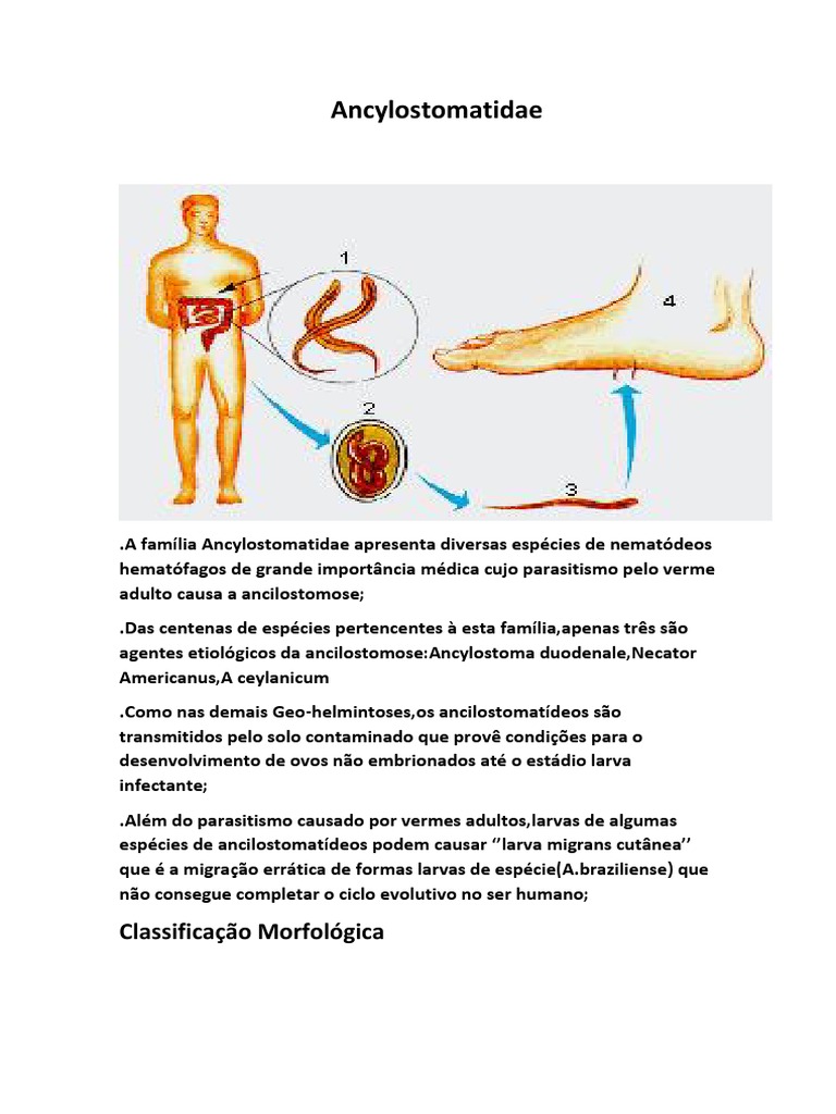Ancylostomatidae: causas, sintomas e controle da ancilostomose | PDF ...