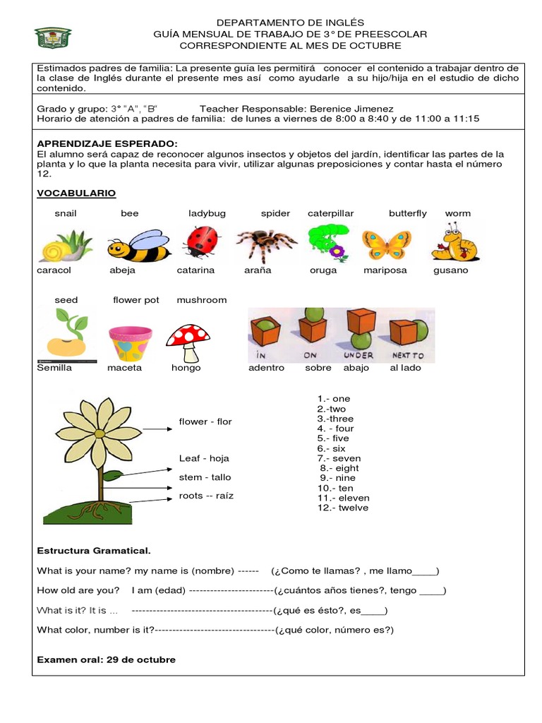 Guía de 3° | PDF | Plantas | Educación avanzada