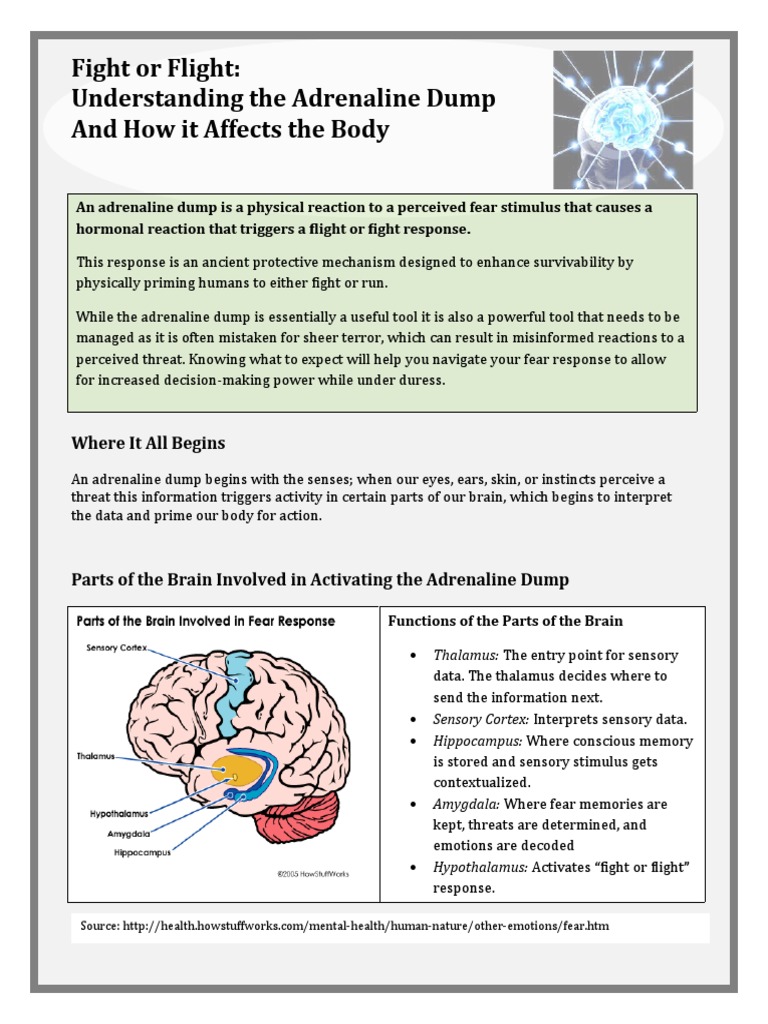 Technical Description-The Fight or Flight Response | Download Free PDF ...