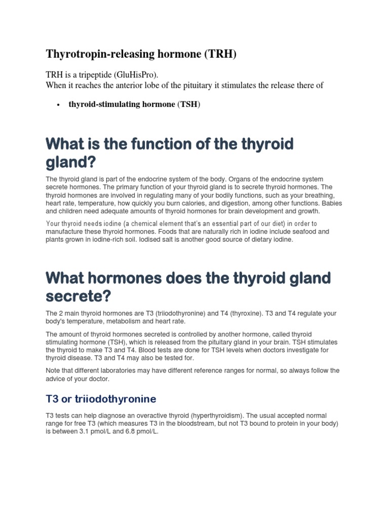 What Is The Function of The Thyroid Gland?: Thyrotropin-Releasing ...